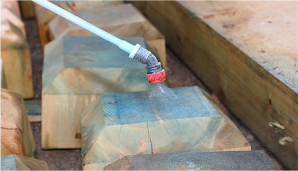 Plagas PR - Comején | Termitas | Puerto Rico